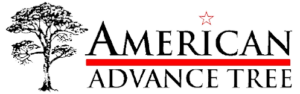 Professional Tree Services | American Advance Tree